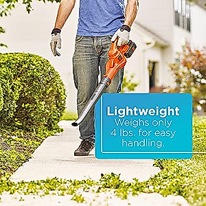 BLACK+DECKER 40V MAX* Cordless Sweeper (LSW40C)