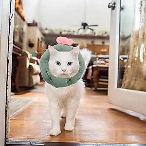 POPETPOP pet Collar Rabbit Recovery Collar Kitten Neck Cone Kitten Recovery Collar cat Cone Collar After Surgery Collar Stuffed Kitten Dog Recovery Collar Kitten Cone Collars The cat Plush