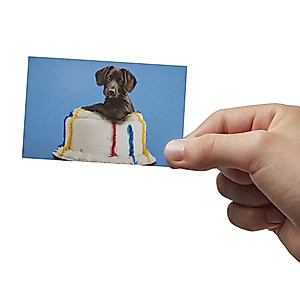 Hasbro Gaming The Tonight Show Starring Jimmy Fallon Box of Lies Party Game for Teens and Adults