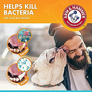 Arm & Hammer for Pets Fresh Breath Dental Spray for Dogs | Reduce Plaque & Tartar Buildup Without Brushing, 4 Ounces, Mint Flavor | Dog Teeth Cleaning Spray, Arm and Hammer Dog Dental Care