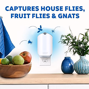 Zevo Flying Insect Trap, Fly Trap Refill Cartridges (4 Total Refill Cartridges)