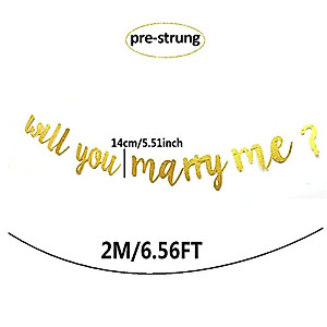 Will You Marry Me Banner Bunting for Valentine's Day, Wedding, Bridal Shower, Marriage Proposal Engagement Party Decorations Gold Glitter Pre-Strung