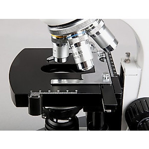 AmScope T360B-5M Digital Trinocular Compound Microscope, 40X-2000X Magnification, WF10x and WF20x Eyepieces, Brightfield, LED Illumination, Abbe Condenser, Double-Layer Mechanical Stage, Includes 5MP Camera with Reduction Lens and Software