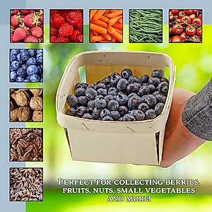 Cornucopia Quart Wooden Berry Baskets (8-Pack); 5.75-Inch Square Vented Wood Boxes for Fruit Picking, Easter or Arts & Crafts