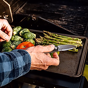 Kershaw Inception Folding Pocket Knife, 3.25 inch Blade with D2 Steel, Manual Opening and G10 Handle, Pocketclip