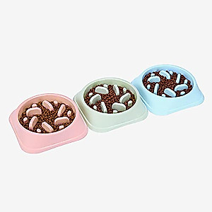FUUIE Bowls for Food and Water Portable Dog Bowl Anti Choke Dog Feeding Food Bowls Puppy Slow Eating Dog Cat Bowls Feeder Dish Pet Bowl Pet Product Supplies (Color : Blue)