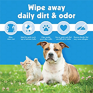 Petkin Pet Wipes for Dogs and Cats, 400 Wipes - Large Pet Wipes for Dogs and Cats - Cleans Ears, Face, Butt, Body and Eye Area - Convenient, Ideal for Home or Travel - 4 Packs of 100 Wipes