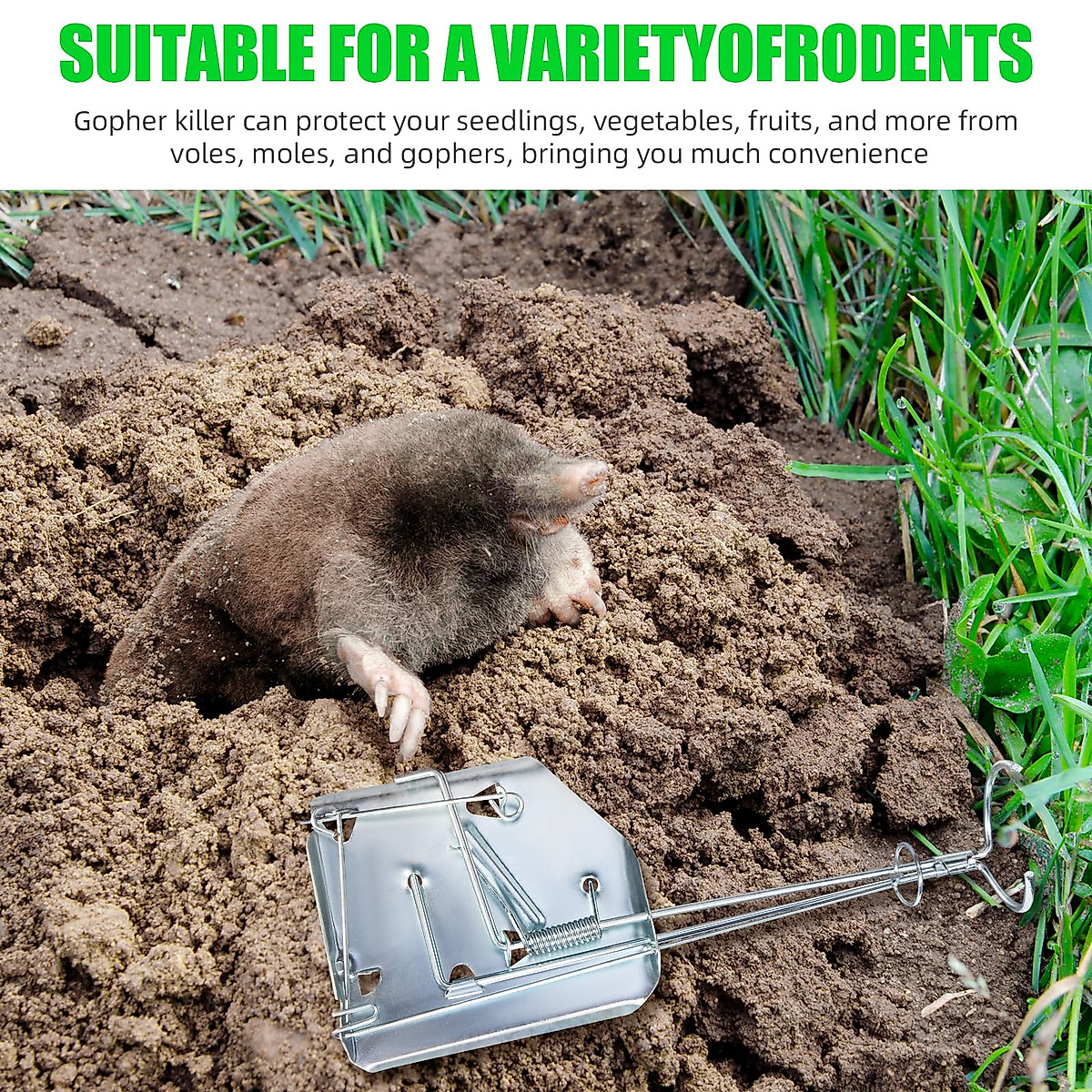 Jahy2Tech Mole Trap Gopher Trap Ground Galvanized and Oil Hardened Steel Animal Trap Reusable Gopher Trap Vole Traps for Outdoor Lawn Garden Yard Farm, Silver