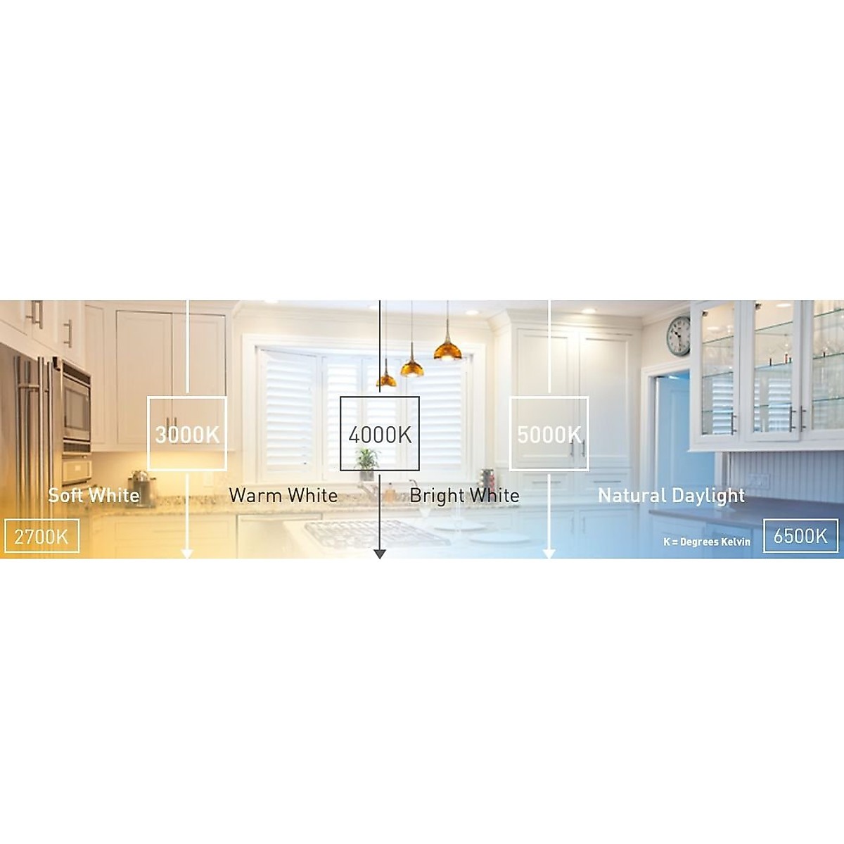 EcoSmart 75-Watt Equivalent R20 Dimmable LED Light Bulb Daylight (3-Pack)