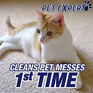 Resolve Pet Expert Carpet & Upholstery Cleaner - Removes Stains and Odors, 22 oz
