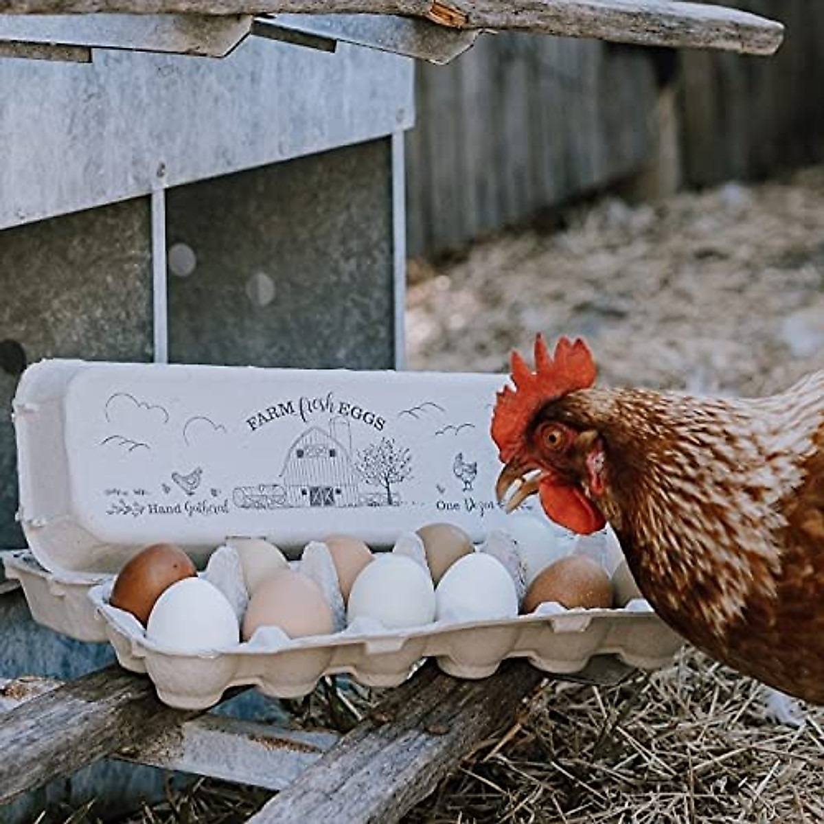 20 Egg Cartons – Adorable Printed Vintage Design Flattop Carton for your Farm Fresh Eggs, 100% Recycled & Eco-friendly Cartons, Sturdy & Reusable, Holds Small to XL Chicken Eggs