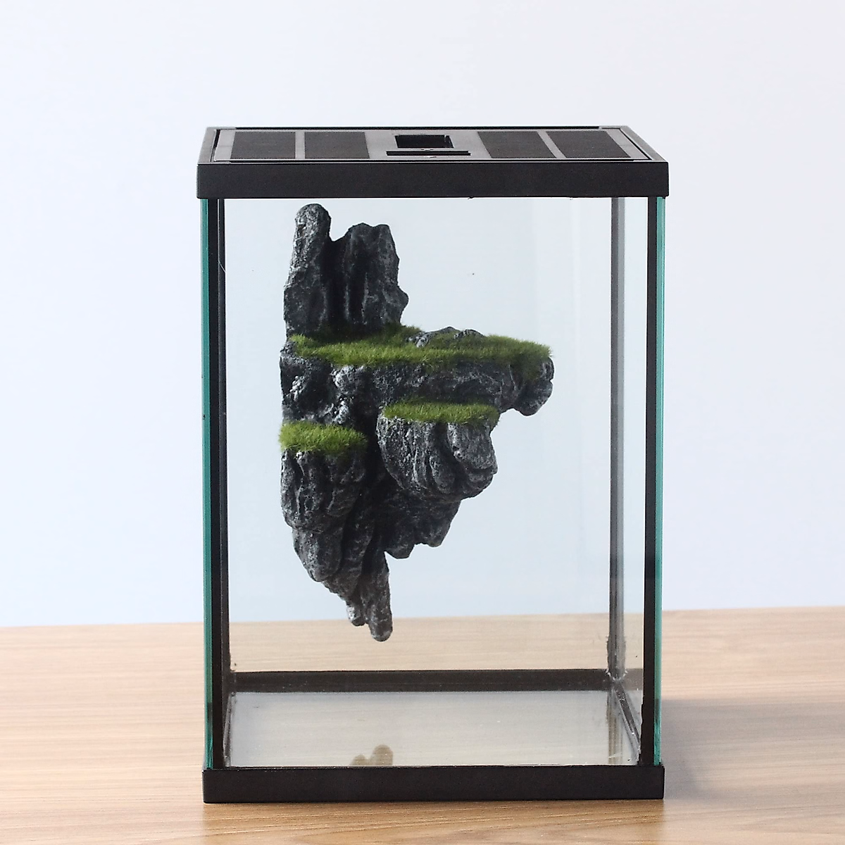 crapelles Small Vertical Insect Glass Terrarium Box, Reptile Tank with Lid Simulation Landscape, for Little Tarantula Caterpillar Frog Snail Spider Habitat Container Accessories