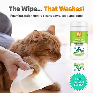 Nootie Waterless Shampoo Wipes for Dogs & Cats - Long Lasting Cucumber Melon Fragrance - Sold in Over 10,000 Vet Clinics and Pet Stores Worldwide, Made in USA - 70 Count