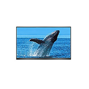 DFZ 15.6 Inch USB Type-C Portable Monitor, FHD (1920x1080), IPS, HD 1080P Supports Mobile Line Communication