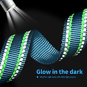 Mile High Life | Nylon Night Light Glow Collar for Medium Dogs | Reflective Band Cat Collar | Fluorescence self-Luminescence Strap Puppy Collar | Safe Night Walk Collars for Dogs (Blue, XS)
