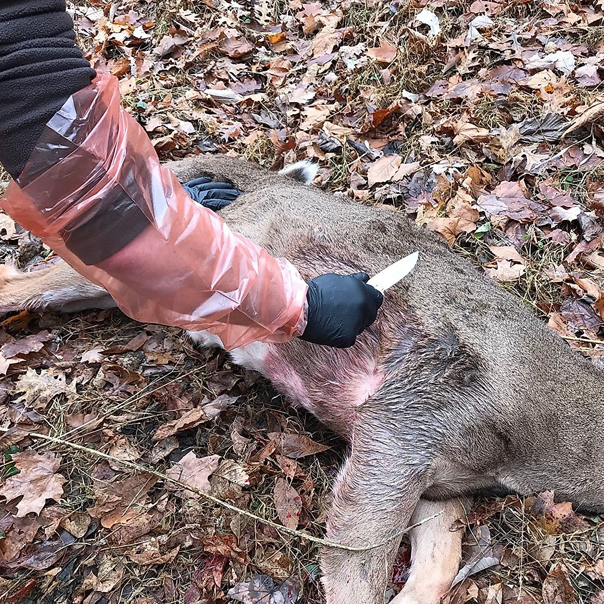 Guardian Hunting Deer Gutting Gloves Field Dressing Gloves with Long and Short Gut Glove Combo Pack (Black/Orange, 3 Pack (6 Pairs))