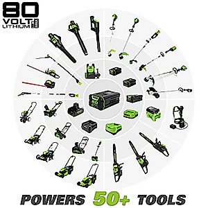 Greenworks Pro 80V 16" Brushless Cordless Chainsaw with 2.0Ah Battery & Charger Included (CS80L211)
