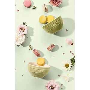 Staub Z1023-687 Ceramic Bowl, Ceramic, 4.7 inches (12 cm), Set of 2, Macaron Green, Ceramic, Small Bowl, Microwave Safe, Ceramic Bowl