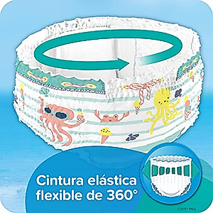 Pampers Splashers Swim Diapers Disposable Swim Pants, Large (> 31 lb), 10 Count