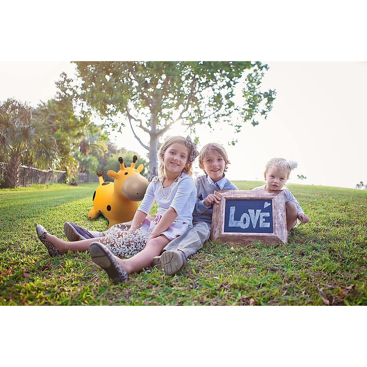 gloexeolg Bouncy Horse Inflatable Kids Ride on Toy Birthday Gifts for Toddlers Girls and Boys 1 of Set(Yellow Giraffe)