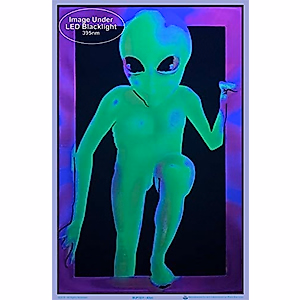 Alien Visitor Blacklight Poster - Flocked - 35" x 23"