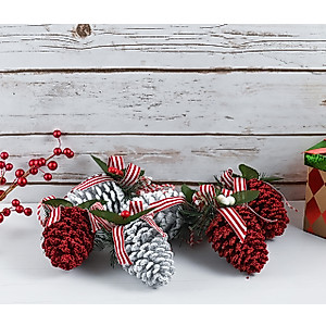 Ornativity Red and White Ornaments - Glitter Red and White Coated Pinecone Xmas Ornament with Realistic Holly Leaf and Red Cranberry Berries with Candy String Christmas Tree Decoration Set -Pack of 10