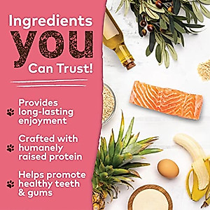 EARTH ANIMAL No Hide Stix Salmon Flavored Natural Rawhide Free Dog Chews Long Lasting Dog Chew Sticks | Dog Treats for Small Dogs and Cats | Great Dog Chews for Aggressive Chewers (3 Pack)