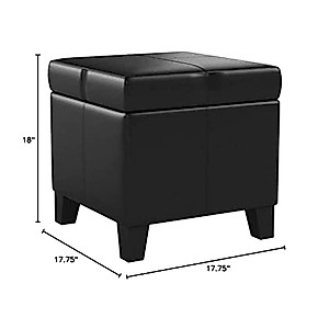 FIRST HILL FHW Living Storage Ottoman, Small, Black