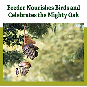 Gardener's Supply Company Acorn Bird Feeder | Sturdy Squirrel Proof Outdoor Garden Hanging Wild Bird Feeders | 2 Acorn Feeder, Metal Leaf & Hanger - Holds 2 Cups of Seed