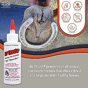 Four Oaks Farm Ventures, No Thrush Dry Powder Treatment for Horses - Wound Care, Scratches, Rain Rot, Mud Fever, Coat Issues - All Natural Ingredients, Non-caustic, Easy to Use Powder Formula (2.5 oz)
