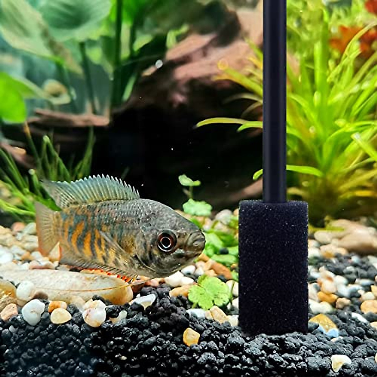 Dannisly 4PCS Aquarium Pre-Filter Foam Sponge Roll Large - Intake Filter Sponge for Aquarium Fish Tank