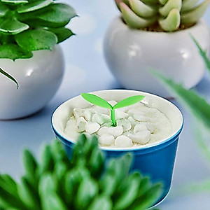 Sprout Little Green Bookmarks Mini Green Sprout Bookmarks Silicone Grass Buds Bookmarks Creative Gifts for Bookworm Book Lovers Reading (6 Pieces)