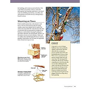 Birdhouses, Boxes & Feeders for the Backyard Hobbyist: 19 Fun-to-Build Projects for Attracting Birds to Your Backyard (Fox Chapel Publishing) Step-by-Step Suet Feeders, Nest Boxes, Bat Boxes, and More
