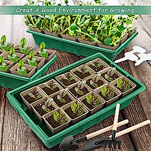 Hahood 4 Pack Seed Starter Tray Kit, 120 Square Seed Peat Pots for Seedlings with Plants Labels, Planting Tools, Plastic Growing Germination Trays with Lids for Indoor Outdoor Gardening, Green