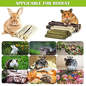 sharllen Chew Toys Molar Sticks Animals Cleaning Teeth Natural Apple Timothy Hay Sweet Bamboo Sticks 3 Types of Combined Wood Toys Squirrel Rabbit Chinchilla Guinea Pig Hamster Gerbil Parrot (500g)
