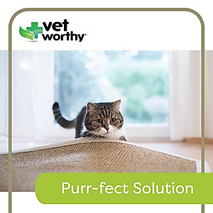 Vet Worthy L-Lysine Soft Chews for Cats - Cat Supplement to Support the Immune System and Overall Health - Cat Vitamins with 250 mg L-Lysine per soft chew - Chicken Liver Flavor Soft Chews, 3.17oz