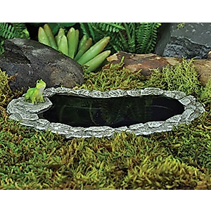 Fiddlehead Fairy Garden Pollywog Frog Pond #16882