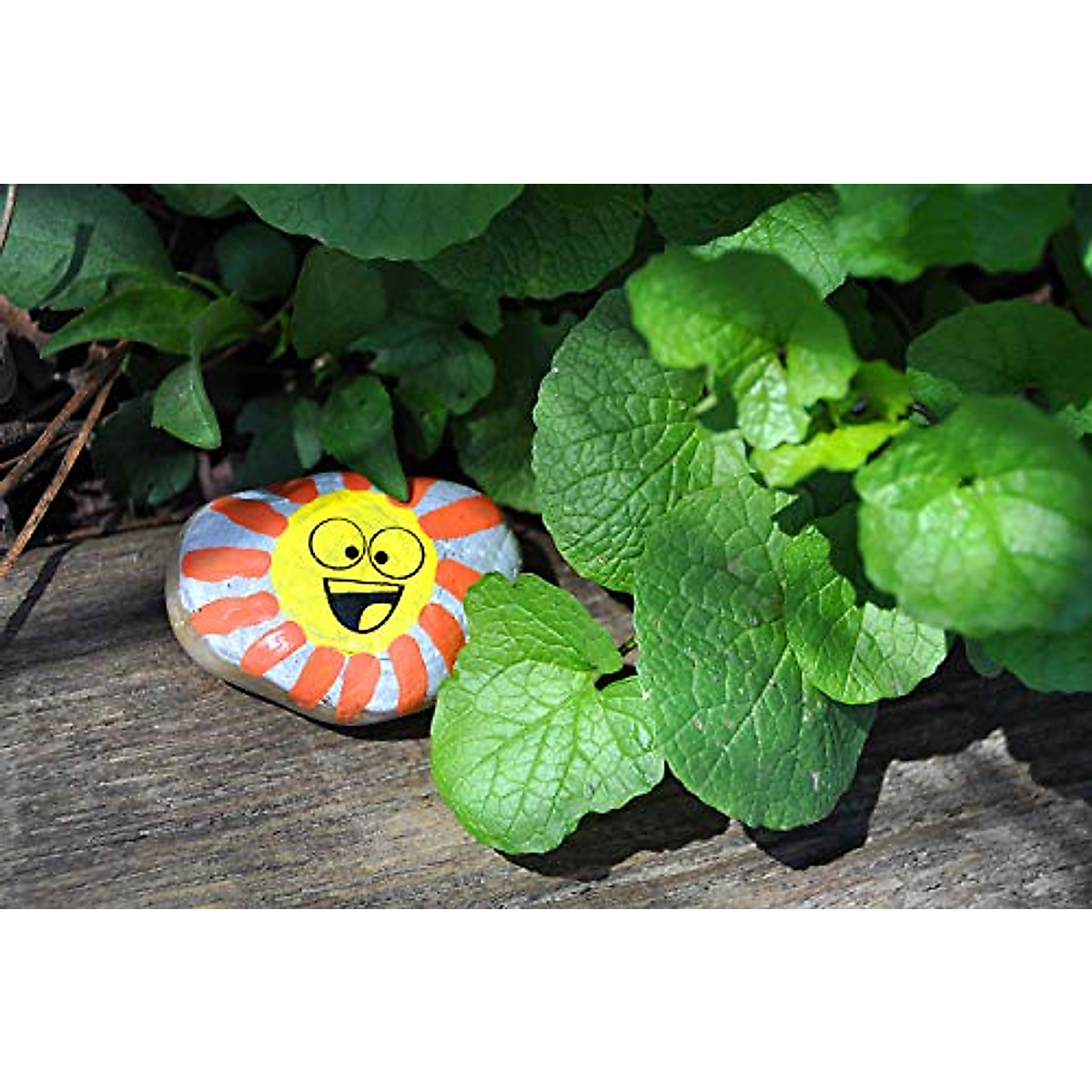 Creativity for Kids Hide & Seek Rock Painting Kit - Arts & Crafts For Kids - Includes Rocks & Waterproof Paint