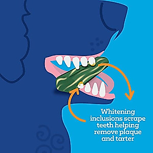 Vetality Brush Free Daily Dental Care Chews for Dogs | Cleans Teeth and Freshens Breath | 30 Count | B.E.S.T. Complex Provides Complete Oral Cleaning and Tartar Control