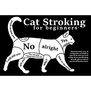 Wall Art Cat Bathroom Cat Stroking for Beginners Black and White Cat Art Wall Decor