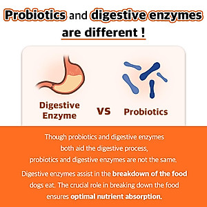 Doctor By Enzyme for Dogs Digestive Enzyme Supplements for Dogs with Protease, Amylase, Lipase - Promotes Digestion and Improves Nutrient Absorption - 30 Individually Packaged (1 Pack)