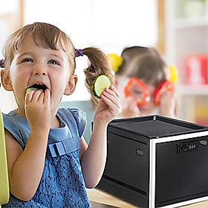 Yalikop Lockable Box Medicine Lock Box for Safe Medication Plastic Clear Lockable Storage Box for Medicine Snacks Food and Home Safety Phone Lockable Storage Bin Refrigerator Locking Container(Black)