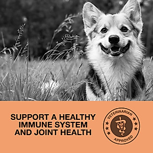 Nutriline Labs Omega 3 Fatty Acid Soft Chews for Dogs - Fish Oil Supplements with EPA, DHA & Vitamin E - Supports Immunity, Brain & Heart Wellness - Made in The USA - Yummy Beef Flavor - 90 Count