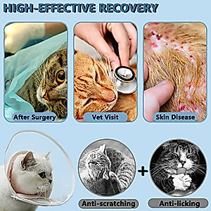 Crazy Felix Cat Cone, Soft Cone for Cats to Stop Licking and Scratching, Comfortable Cat Cone Collar with Upgraded PVC Material and Adjustable Hook&Loop for Healing Wound, After Surgery and Vet Visit