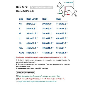 QWINEE Basic Dog Hoodie, Dog Warm Jacket, Cat Apparel, Dog Shirt, Dog Clothes for Puppy Kitten Small Medium Dogs Cats Light Grey X-Large