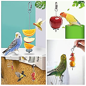 2X Parrot Skewer Bird Food Holder Stainless Steel 304 Parrot Fruit HolderToy Foraging Hanging Food Feed Tool Bird Cage Accessories