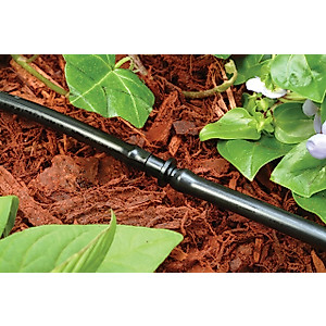 Rain Bird BC25-30PS Drip Irrigation Universal 1/4" Barbed Coupling Fitting, 1/4" Drip Tubing, 30-Pack