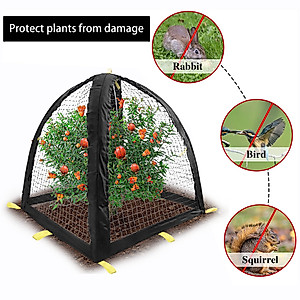 Large Pest Guard Cover-35 x35 x 39 Inch Pest Guard Tent with Stakes-Garden Plants Cloche Tent for Protect Plants Vegetables Fruits Shrubs from Squirrel Bird Eating (L)