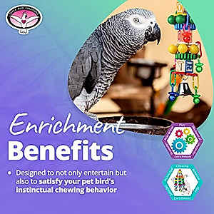 Super Bird Creations SB676 Spin Tower Bird Toy, Large Bird Size, 13" x 3" x 3"