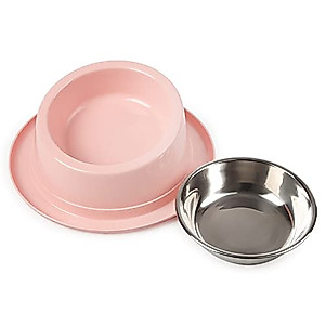 FUUIE Bowls for Food and Water 15 Tilt Pet Bowl Stainless Steel Pet Non-Slip Bowl (Color : Blue)